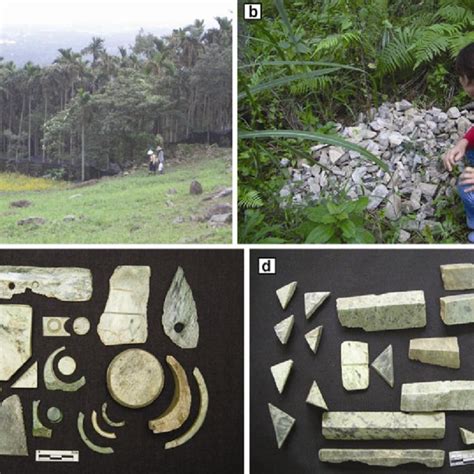 A B Trematode Egg A Microscopic Diagnosis B Download