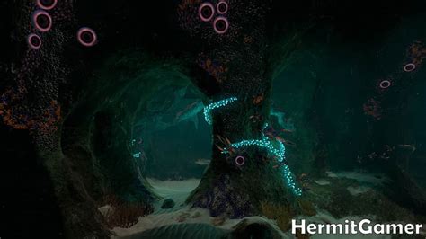 Subnautica Mushroom Forest How To Find And Explore