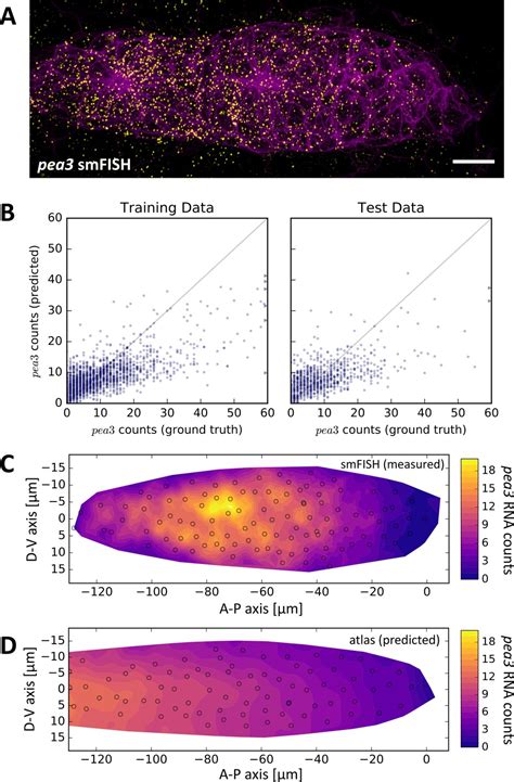 figures and data in an image based data driven analysis of cellular