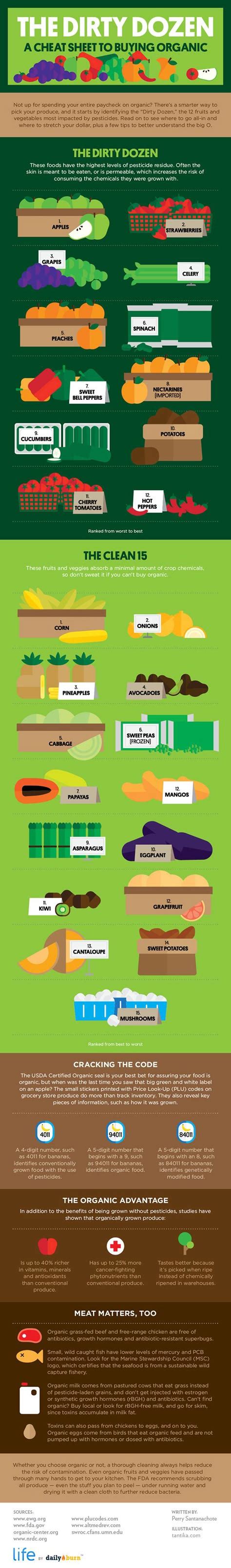 Lori Bean Spartanbean Profile Pinterest