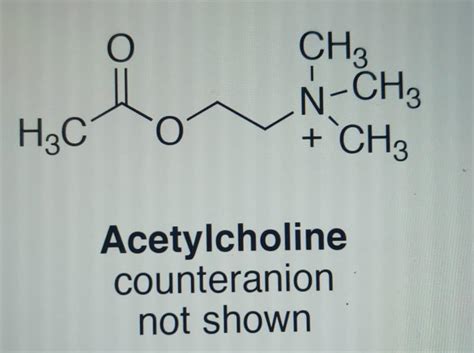 Solved O Ch3 N Ch₂ НАС Ch3 Acetylcholine Counteranion Not