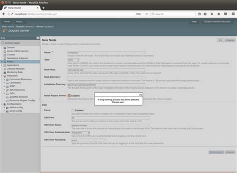 payara server basics part 3 creating a simple cluster