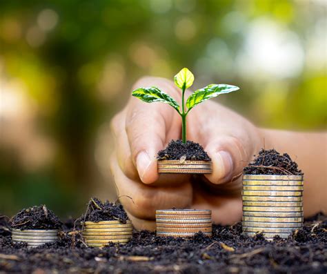 Stand Out In Sustainable Banking Through Authentic Marketing