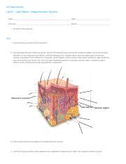 Lab Exercise 6 Integument Pdf 06 Integumentary Lab 6 Lab Report Integumentary System Name