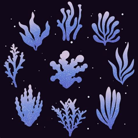 Premium Vector Set Of Fantasy Seaweed Illustrations With A Gradient Design Cute Algae And
