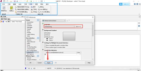 Pl Sql Developer 13 0设置中文 51cto博客 Pl Sql Developer