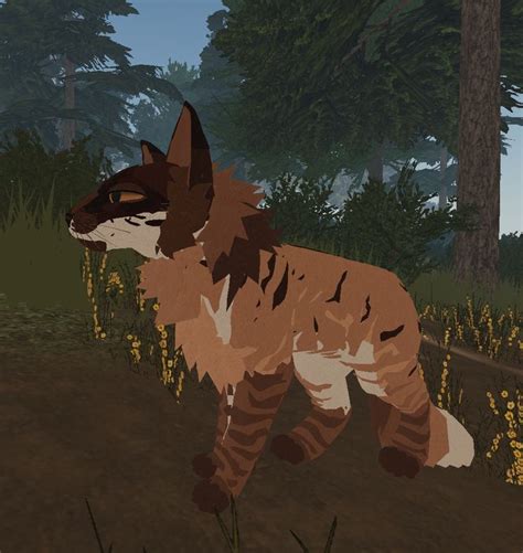 Roblox Wcue Morph Inspo