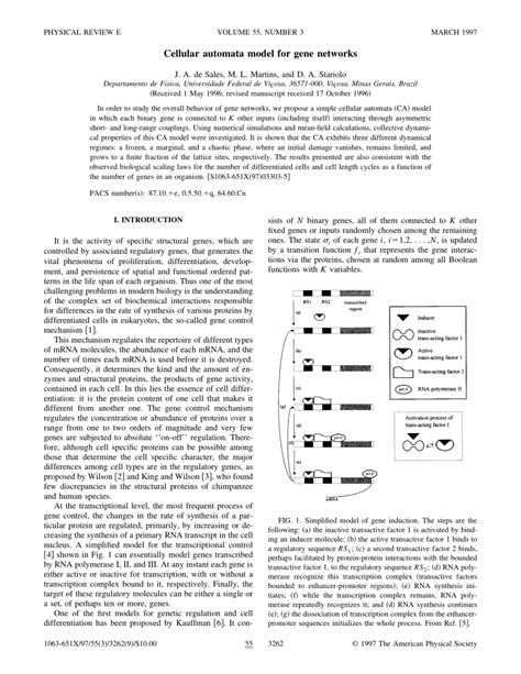 Pdf Cellular Automata Model For Gene Networks