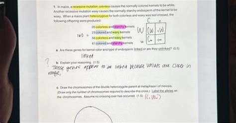 Solved 1 In Maize A Recessive Mutation Colorless Causes