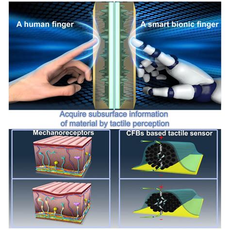 Bionic Fingers Create 3d Maps Of Human Tissue Electronics And Other