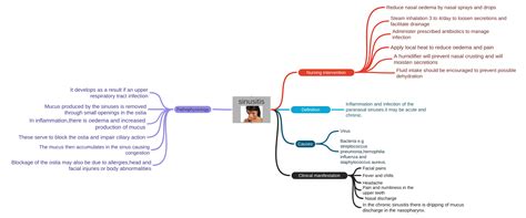 Sinusitis 322932 1100 Coggle Diagram