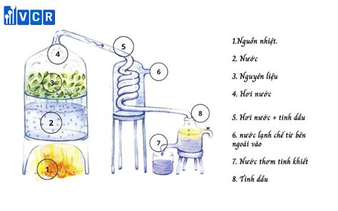 Tìm hiểu quy trình sản xuất nước hoa đơn giản