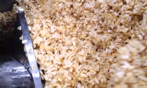 Corn Germ Dewatering Screw Press Gujarat India