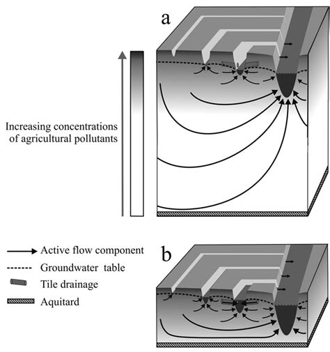 Conceptual Visualization Groundwater Surface Water Interaction During Download Scientific