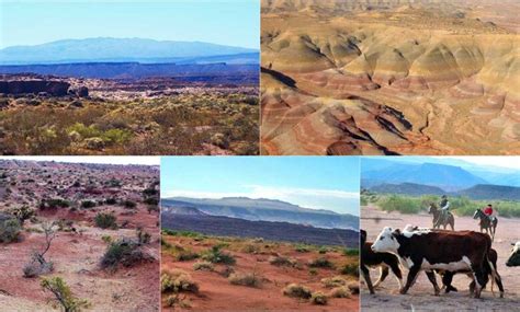 Al Sur Del Auca Mahuida En 14 Imágenes Comentadas → Más Neuquén