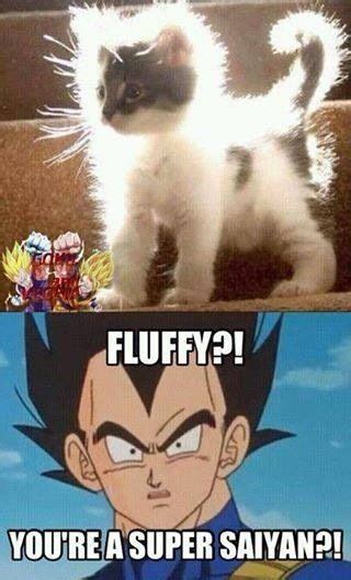 Fluffy Super Saiyan Dbz Memes Dragon Ball Z Memes Goku As A Cat Cat
