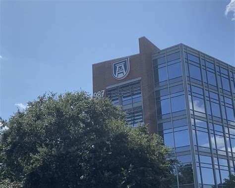 Have A Break Between Classes And Hungry Check Out These Spots Minutes Away — The Bell Ringer