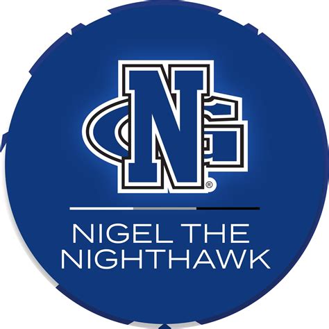 Nigel The Nighthawk