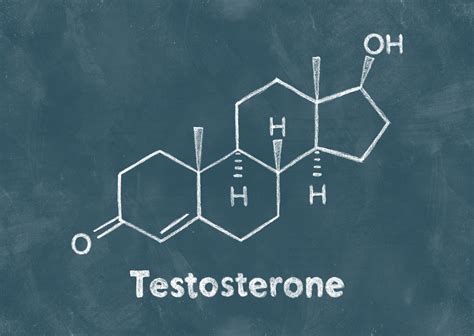 Testosterone Booster List Supplements In Review