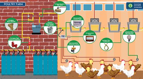 SEGroup Poultry Infographics