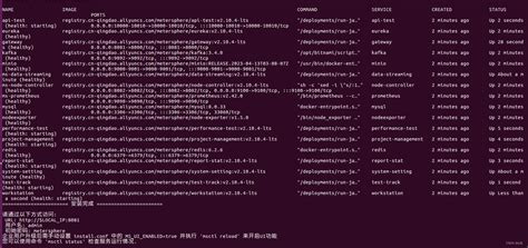 【ubuntu 1604部署metersphere教程】container System Setting Is Unhealthy Csdn博客
