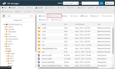How To Migrate Emails From CPanel To CPanel In