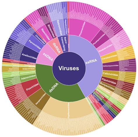 Virome Capture Panel