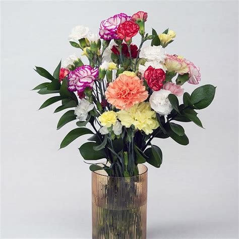 Mixed Carnations Classic Flowers
