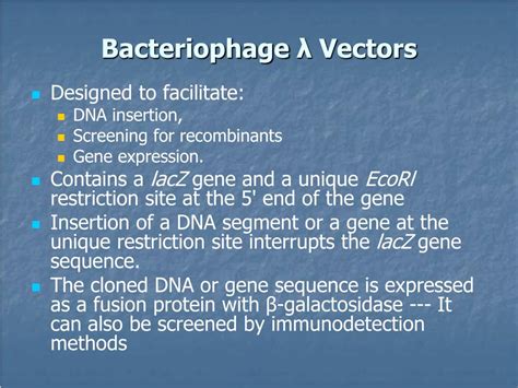 Ppt Cloning Vectors Powerpoint Presentation Free Download Id 2240868