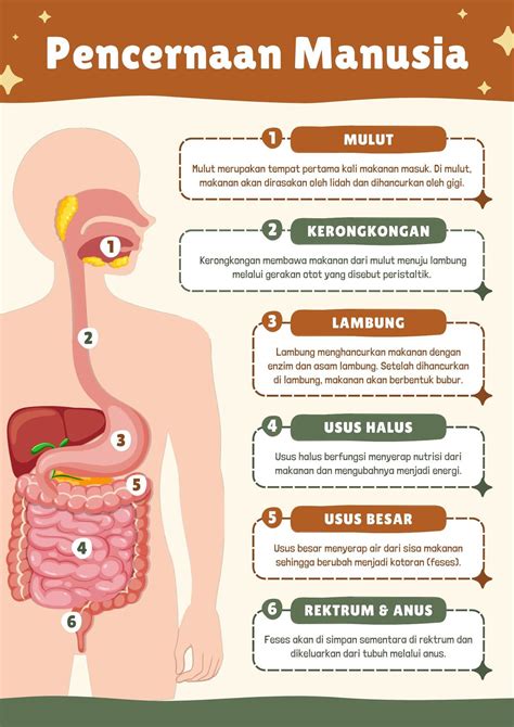 Kumpulan Poster Ipa Materi Sd Syafruddin Daeng Guru Udhin Facebook