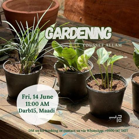 Gardening With Youssef Allam