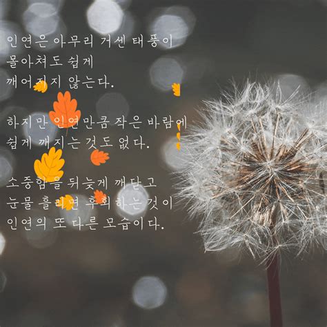 인연에 관한 좋은 글귀 10가지