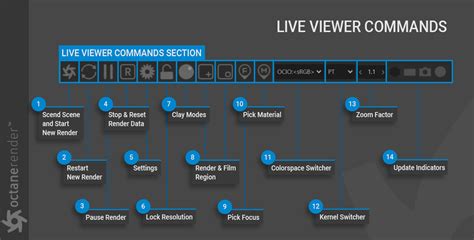 Live Viewer Commands