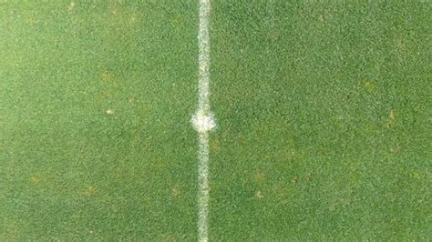 Cricket Ball Trajectory Stock Footage Royalty Free Video Clips Storyblocks