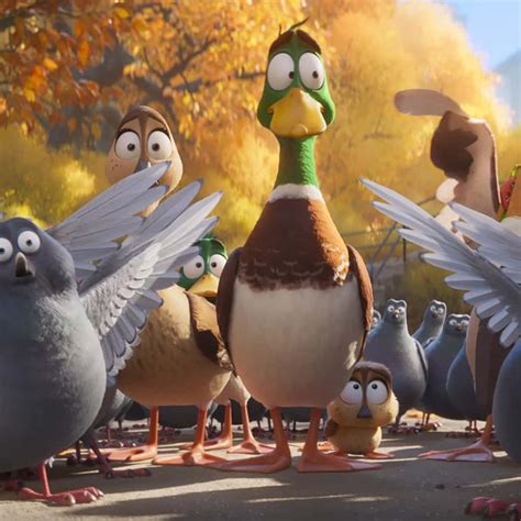 The 20 Best Movies About Ducks Ranked By Fans