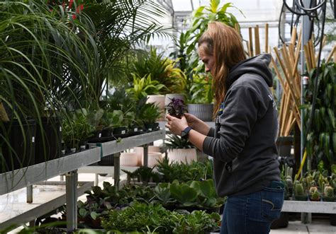 Landscape Garden Centers Founder Phil Helland Dies At Age 83