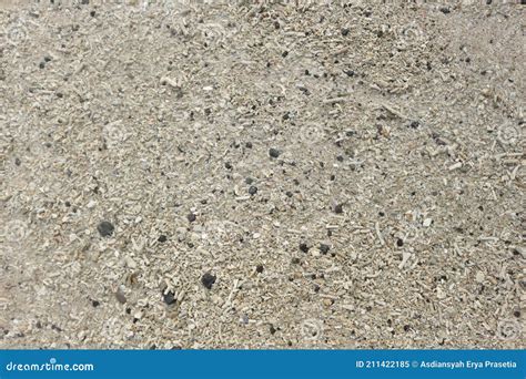 Plage De Corail Sable Coraux Cassés Texture Sur La Plage De Mer Image