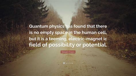 Quantum Physicist Quotes