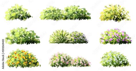 Vector Watercolor Flower Tree