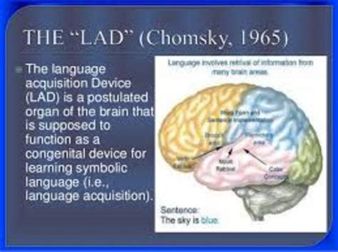 Noam Chomsky 1928 Timeline Timetoast Timelines