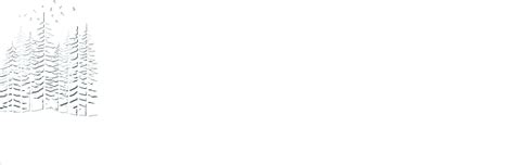 Do Raccoons Hibernate Raccoons Winter Behavior Explained Wildlife Checklist