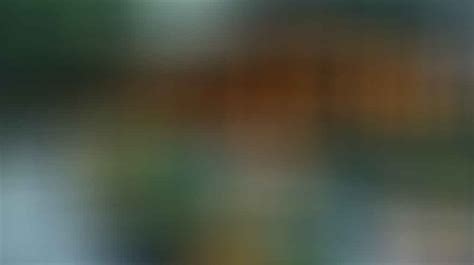 5 Best Wired Pathway Lights Hardwired Landscape Lighting