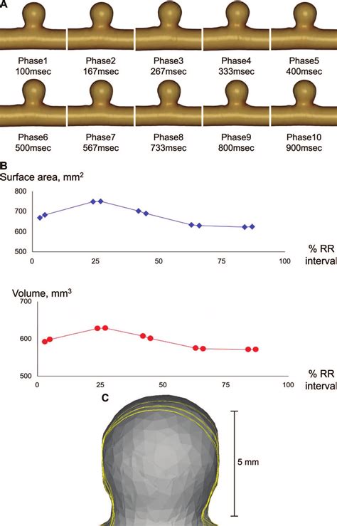 DFA Visualizing Pulsating Phantom A Phases Of Dimensional CT Download Scientific Diagram