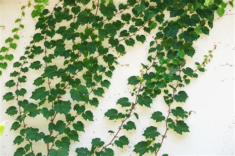 백그라운드 유토이미지 상세페이지 베이직샵 20673132