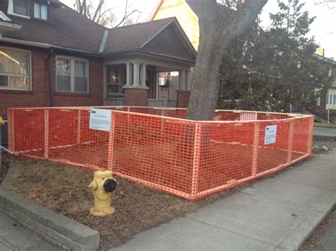 Cardinal Tree Care Arborist Reports