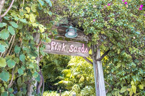 Pink Sand Harbour Island Bahamas 5 Reasons To Visit Eleuthera