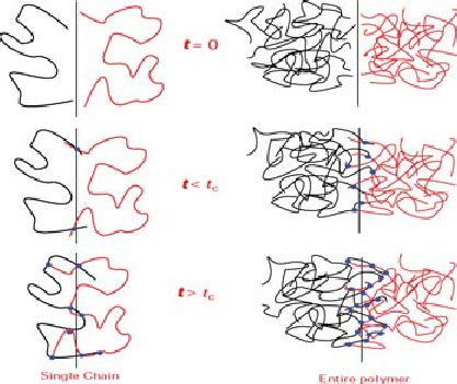 A Schematic Diagram Of The Diffusion Process At The Polymer Polymer Download Scientific Diagram