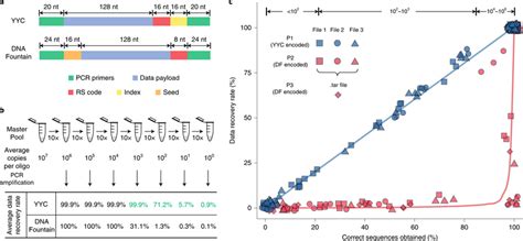 Experimental Validation Of In Vitro Binary Data Storage Using The Yyc Download Scientific