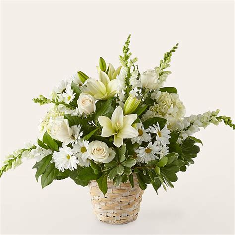 Hydrangeas Delivery Send Hydrangea Bouquets Proflowers