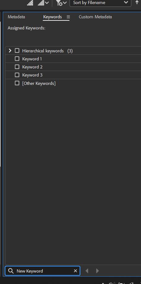 Adobe Bridge Adding Keywords Adobe Support Community 13879973